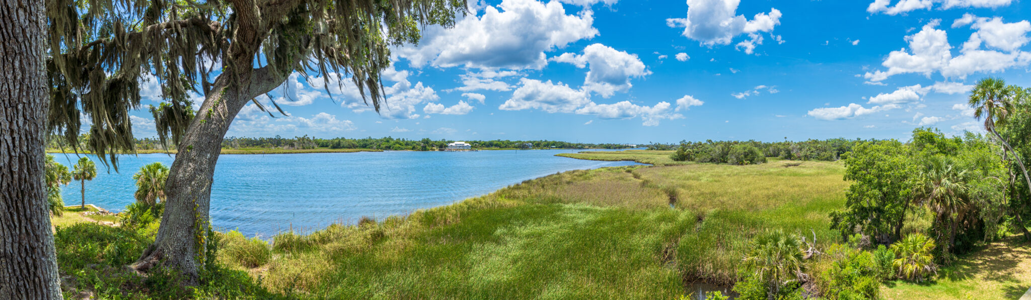 Amazing Things To Do In Crystal River, Florida: Ultimate Guide